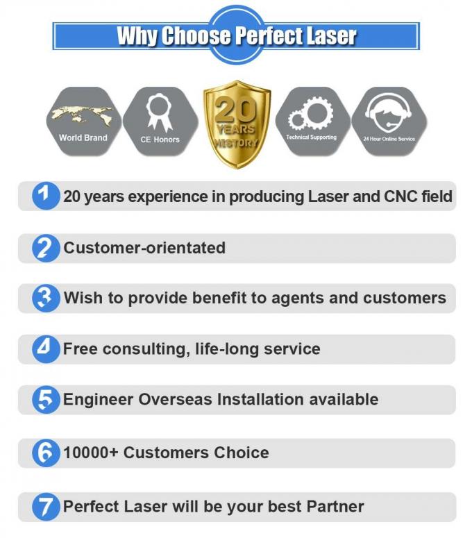 자동차 분야를 위한 소형 연속물 또는 Vin 번호판 점 Peen 표하기 기계